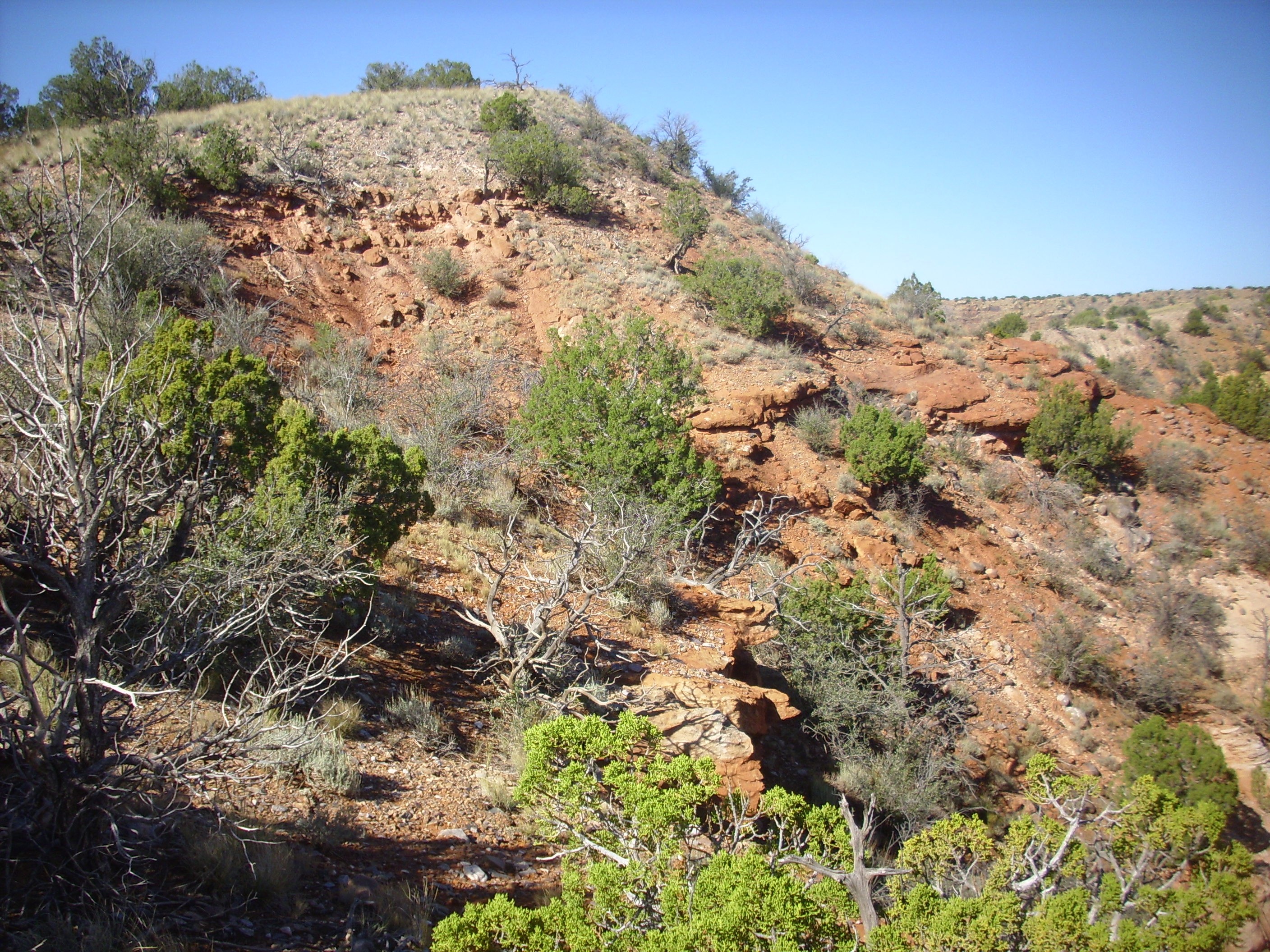 Geology of the Jemez Area, Chapter 5: The Early Tertiary